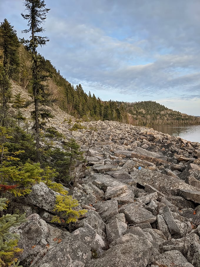 Nature's rock collection gone wild! This rugged shoreline looks like giants were playing with building blocks before suddenly quitting.