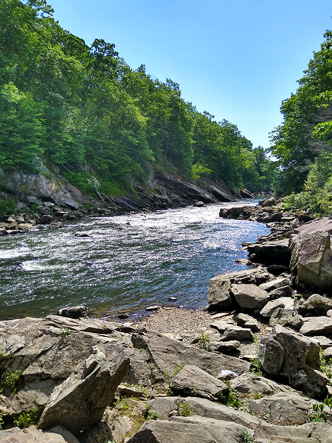 Rushing waters carve through rocky terrain, showcasing the river's power and beauty in equal measure.