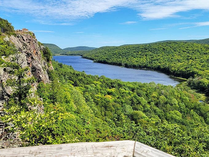 Blue skies and endless forest views create the kind of panorama that makes you wonder why anyone would choose a screensaver over the real thing.