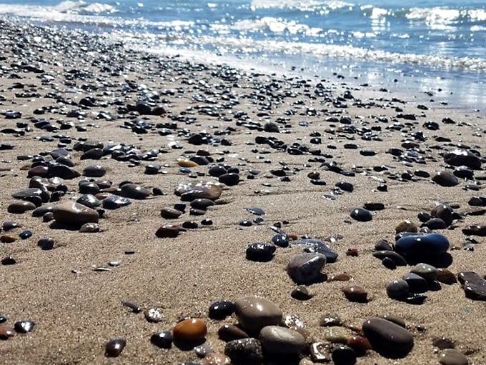 Beach treasure hunting paradise where every wave delivers new possibilities, nature's slot machine that always pays out in beauty.