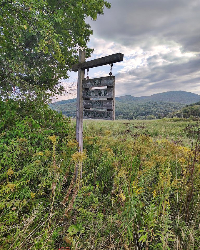 "West Rutland Marsh Boardwalk" &ndash; Vermont's version of a red carpet, minus the paparazzi.