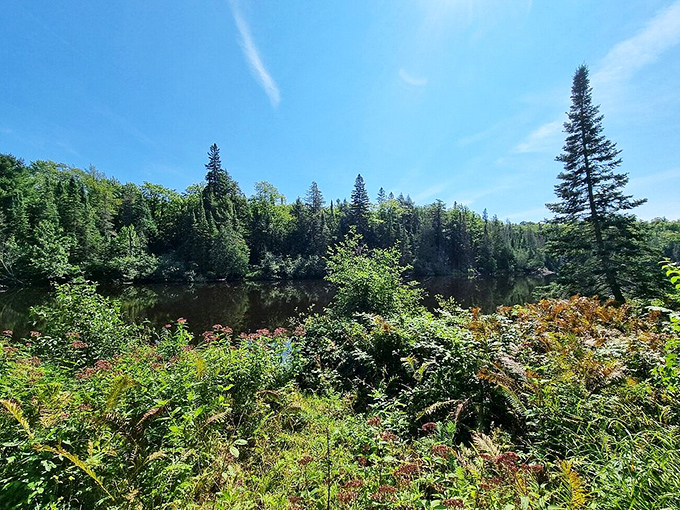 Winter's icy grip can't quite contain the determined waters, creating a dramatic standoff between flowing river and frozen landscape.