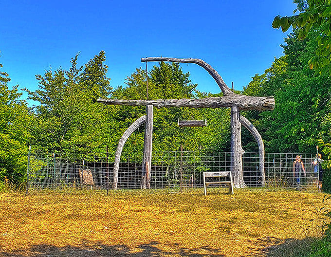 Rustic elegance defines this wooden gate, where twisted driftwood has been transformed into an artistic entrance worthy of a fantasy novel.