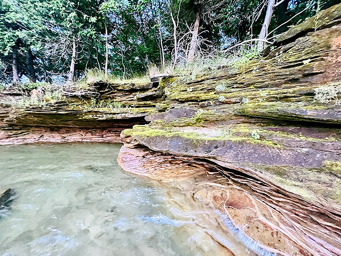Layered limestone shoreline cliffs tell the geological story of ancient seas that once covered Michigan, creating a natural history book written in stone.