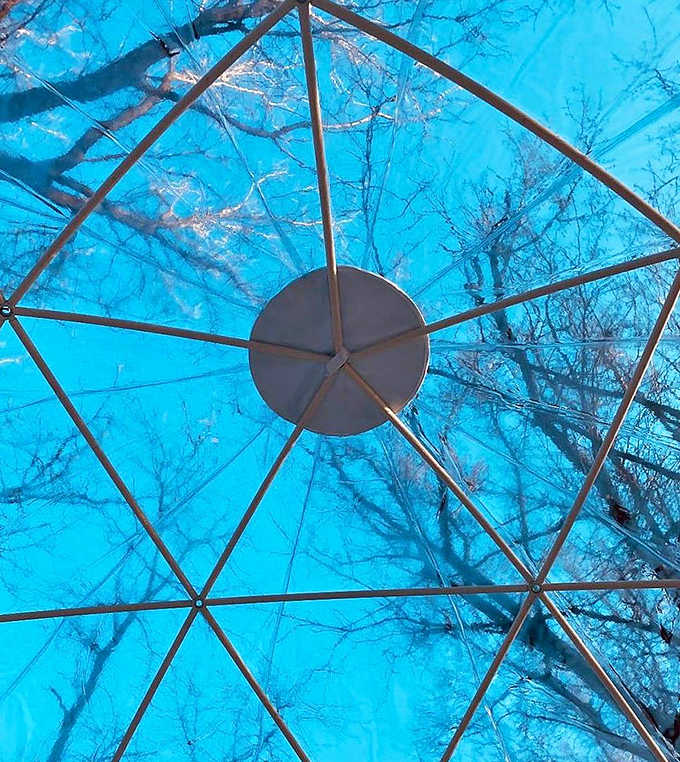 Looking up through the geometric framework reveals a mesmerizing pattern against the sky &ndash; nature's own cathedral ceiling.