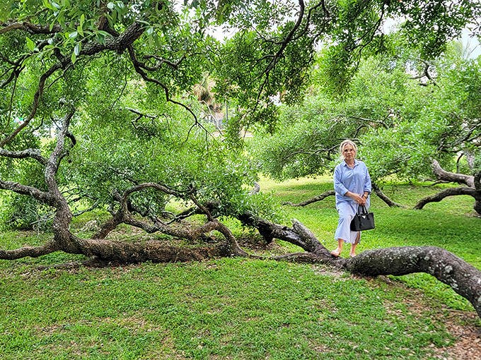 Even fashionable visitors can't help but be dwarfed by this botanical celebrity that's been drawing crowds for generations.