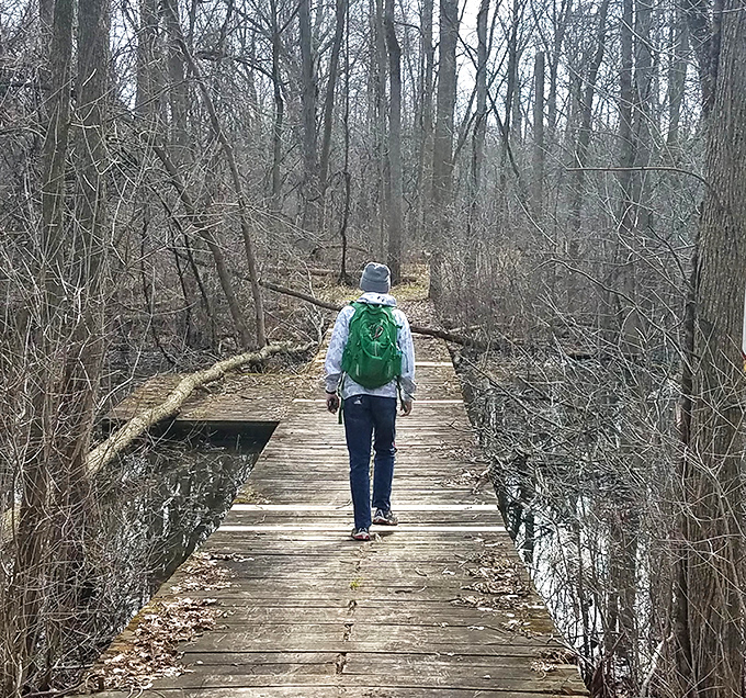 The wooden pathway stretches ahead like nature's red carpet, guiding explorers through Shiawassee's mysterious winter woodland.