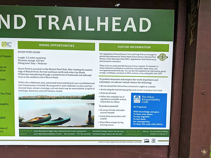 Nature's instruction manual: visitor information that barely hints at the enchantment waiting just beyond the trailhead's humble entrance.