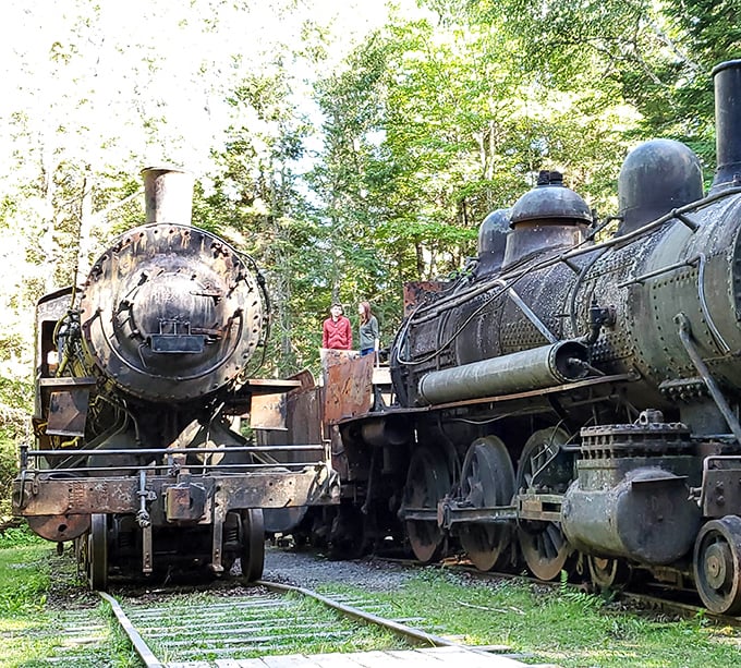 Iron monsters face off in their forest resting place, like mechanical dinosaurs frozen in time.