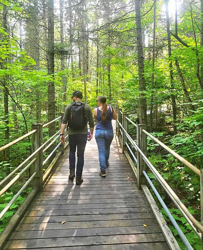 Two hikers share a moment of connection on this wooden boardwalk, where nature's cathedral of towering trees creates the perfect pathway through untamed wilderness.