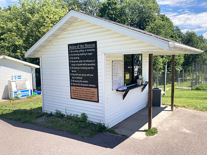 Rules of engagement: Safety first at this sanctuary where respect for the animals guides every interaction.