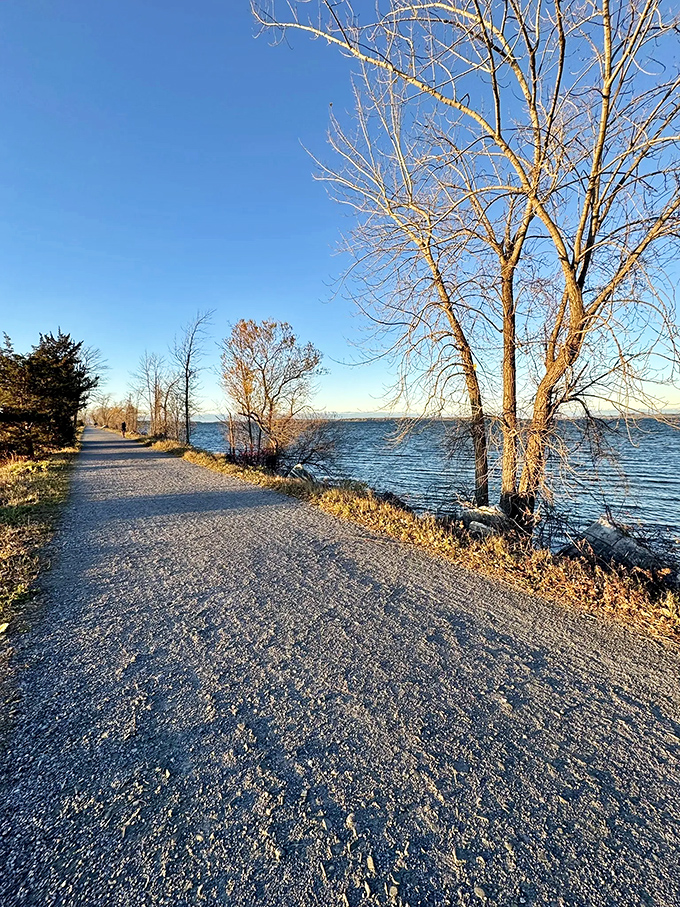 Winter transforms the causeway into a serene wonderland, where bare trees frame views that change dramatically with each season.