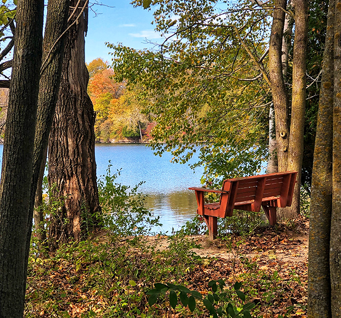 Not just any lakeside seat&mdash;this bench has witnessed more perfect moments and quiet epiphanies than a therapist's couch.
