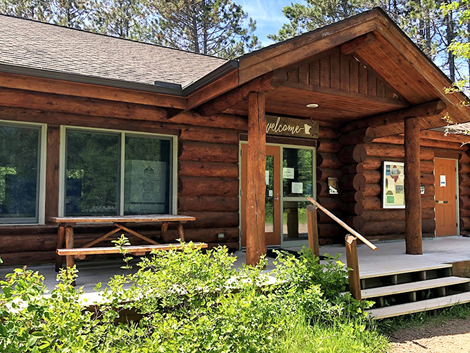 The nature center's cabin blends perfectly with its surroundings, as if the forest decided to fashion itself into a cozy information hub.