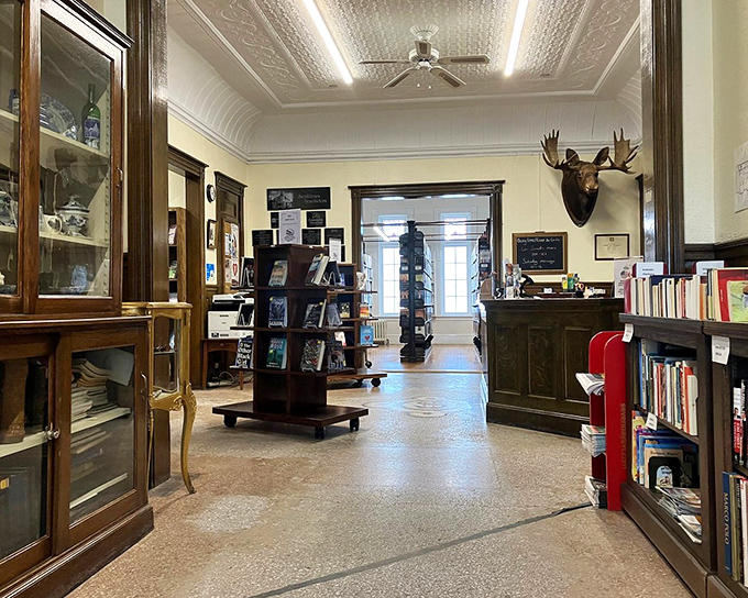 The heart of literary diplomacy! That moose head watches over international relations while books maintain the peace below.