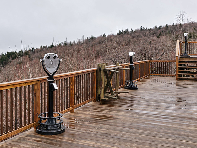 Coin-operated time machines disguised as binoculars, bringing distant mountains close enough to whisper their secrets.