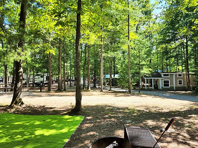 Spacious RV sites nestled among towering trees give you that secluded forest feeling without the inconvenience of actually being secluded from electricity and plumbing.