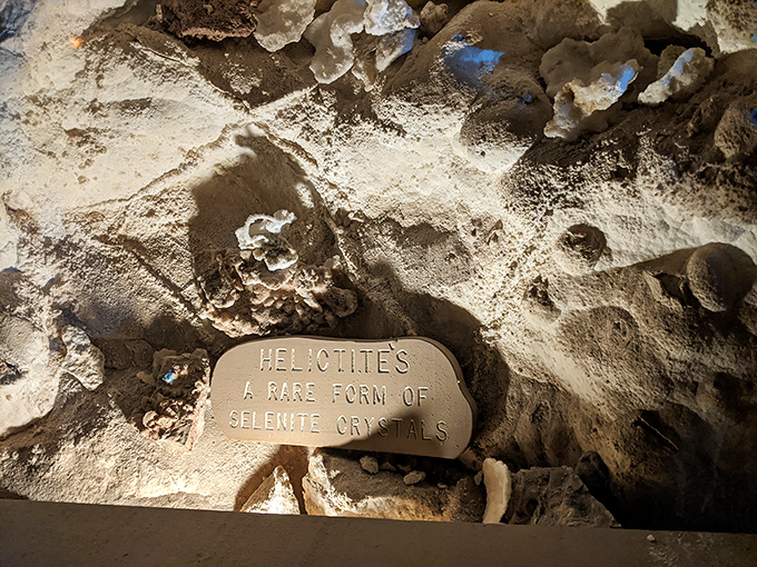 Helictites, these rare selenite crystals seem to defy gravity, growing horizontally in the cave's perfectly dry environment.