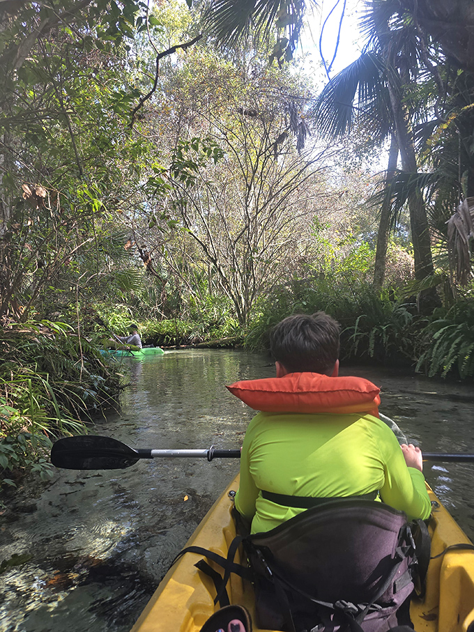 Kayaking through these waters is like floating on air with occasional turtles swimming beneath your transparent magic carpet.