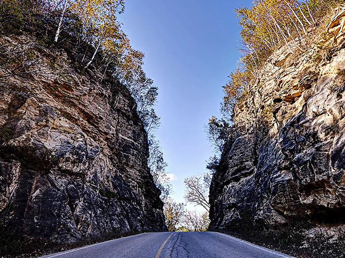 Looking northward through the cut reveals nature's grudging acceptance of human determination, with trees reclaiming the upper edges.