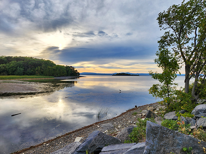 Morning light dances across Lake Champlain, turning ordinary water into liquid gold for early-rising trail enthusiasts.