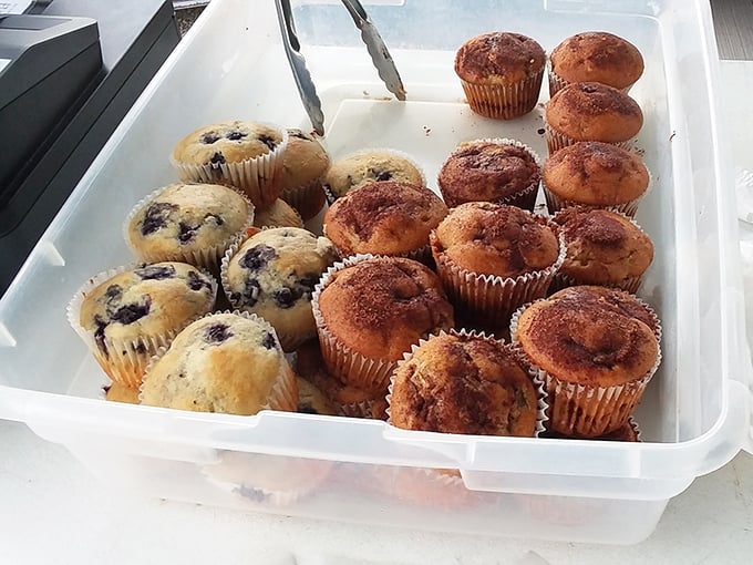 Fresh-baked muffins line up like eager contestants in a deliciousness competition – both blueberry and cinnamon varieties ready to delight.