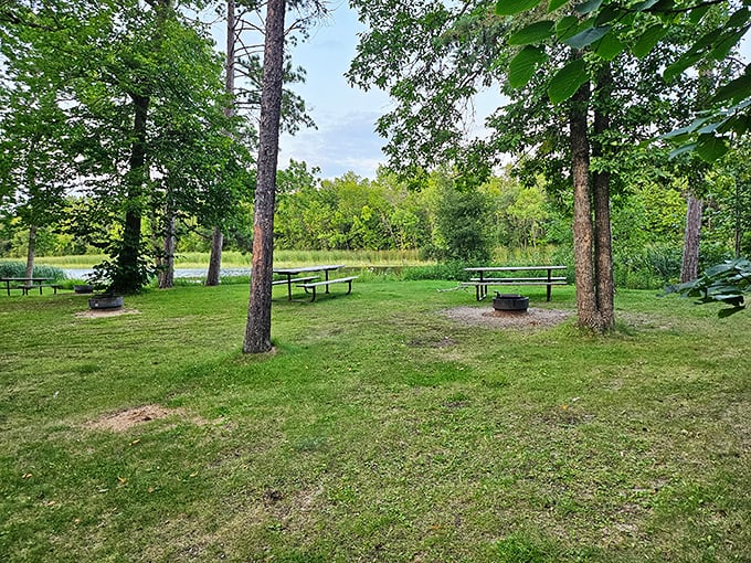 Picnic tables nestled among towering pines offer the perfect spot for lunch with a side of serenity.