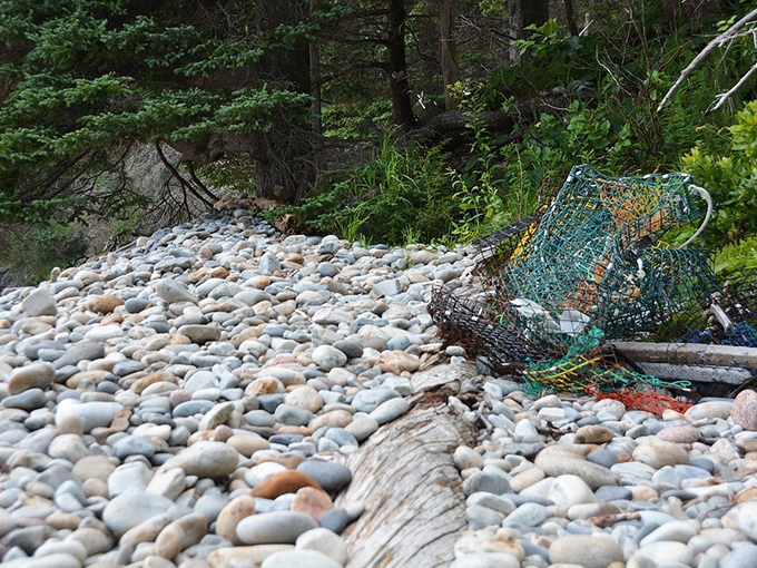 Smooth, multicolored stones create nature's mosaic, each one shaped by countless Atlantic waves over thousands of years.