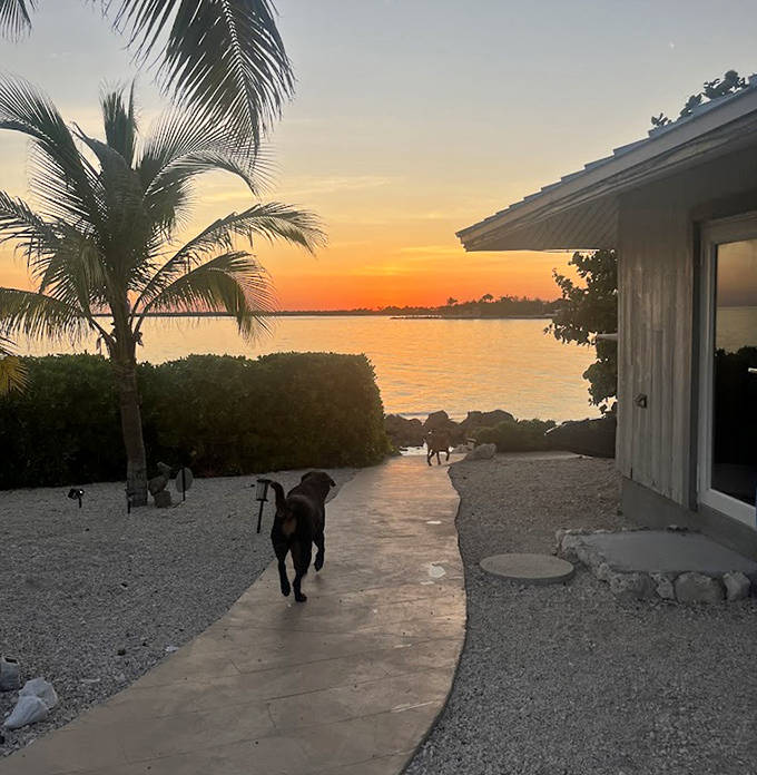 The day's grand finale paints the sky in impossible colors, turning Cadillac Mountain's summit into Maine's best natural theater.