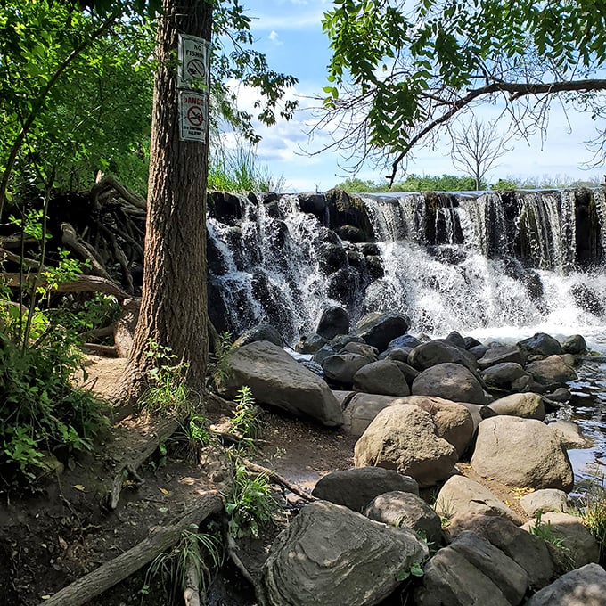 The waterfall's soothing symphony provides the perfect soundtrack for contemplation among the moss-covered rocks and dancing shadows.