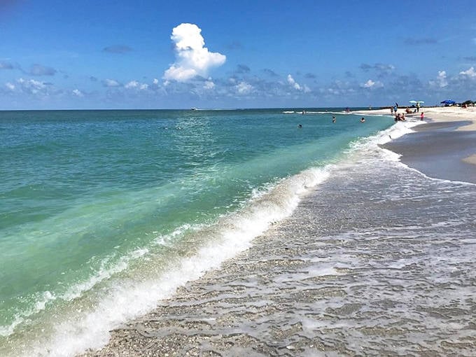 Waves: The gentle Gulf waters lap at the shore, each wave potentially delivering the shell find of a lifetime.