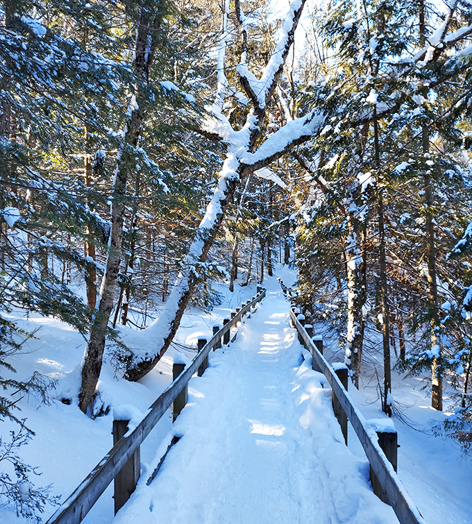 Winter transforms Wagner Falls into a crystalline wonderland, where frozen cascades create natural ice sculptures worthy of gallery display.