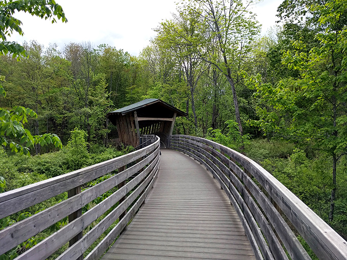 The boardwalk stretches ahead like a wooden ribbon, its weathered rails guiding visitors through changing forest landscapes.