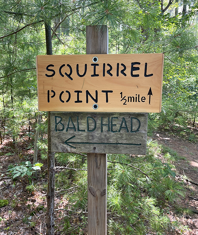"Squirrel Point or Bald Head?" The wooden trail sign presents life's simplest yet most rewarding choice for day-trippers.