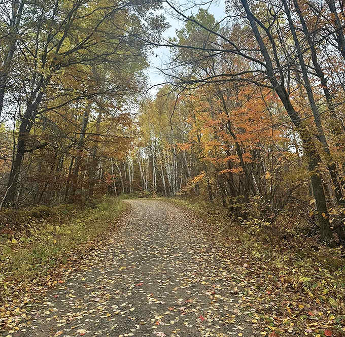 Hiking trails that meander like a good conversation &ndash; sometimes challenging, always rewarding, with surprises around every bend.