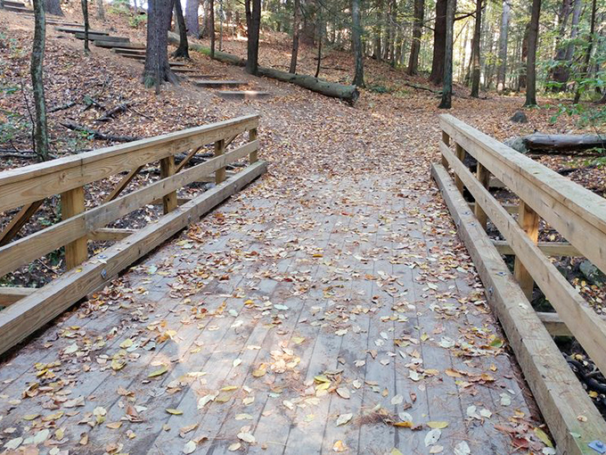 A woodland path winds through the forest, inviting visitors to discover what magical scene awaits around the bend.
