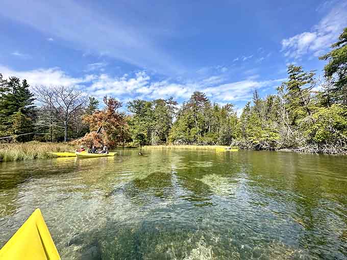 Paddling through crystal-clear water surrounded by autumn colors is like floating through a painting that somehow came to life.