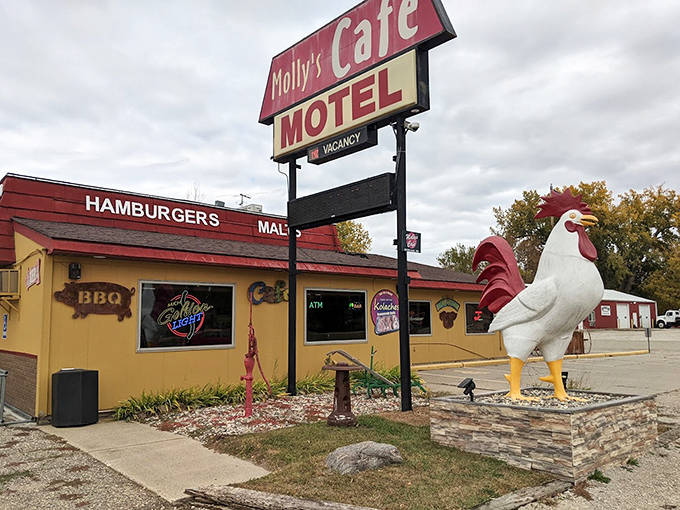 Molly's Cafe and Motel announces itself with a giant rooster statue that's become a Silver Lake landmark. "Turn left at the big chicken" is perfectly normal navigation around here!