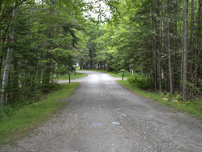 Rangeley's trails offer glimpses of mountain majesty through clearings that make perfect natural frames for family photos.