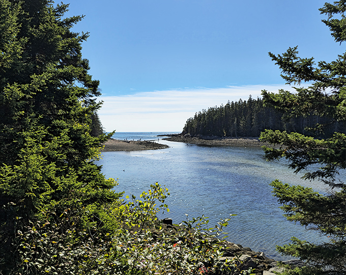Ship Harbor's pristine waters flow between evergreen-lined shores, creating a postcard-perfect scene that captures Maine's coastal beauty.