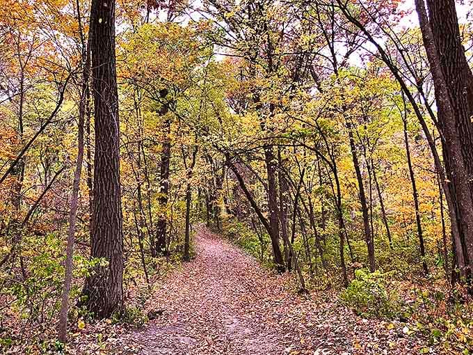 Spring Lake Regional Park's trails wind through sun-dappled woods, inviting explorers to discover what lies around each bend.