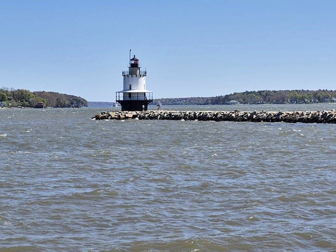 Spring Point Lighthouse stands sentinel near one of South Portland's best sea glass hunting beaches, where maritime history washes ashore daily. 