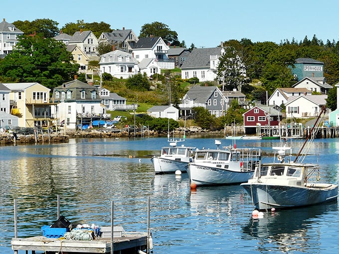 Stonington's hillside homes cascade down to a harbor filled with lobster boats, showcasing Maine's authentic fishing village charm.