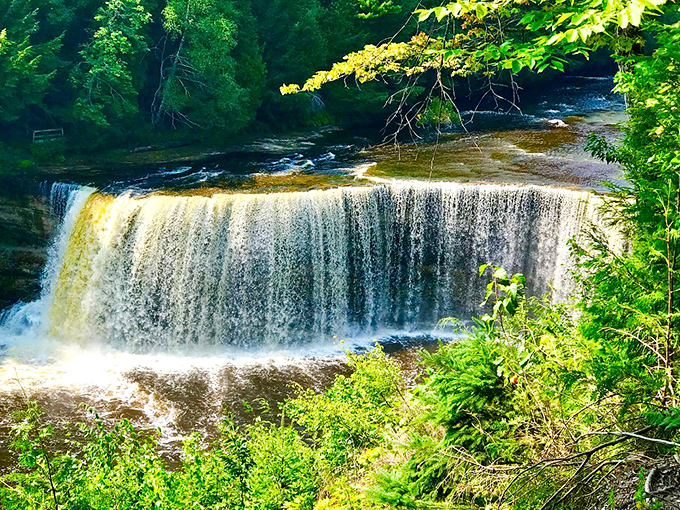Tahquamenon Falls cascades dramatically through Michigan's forests, its amber waters creating nature's perfect root beer float.