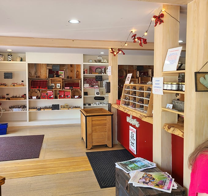 Warm wooden shelves and cozy displays make Auntie's House feel like visiting a relative who happens to be a master baker. Sweet treasures wait around every corner.