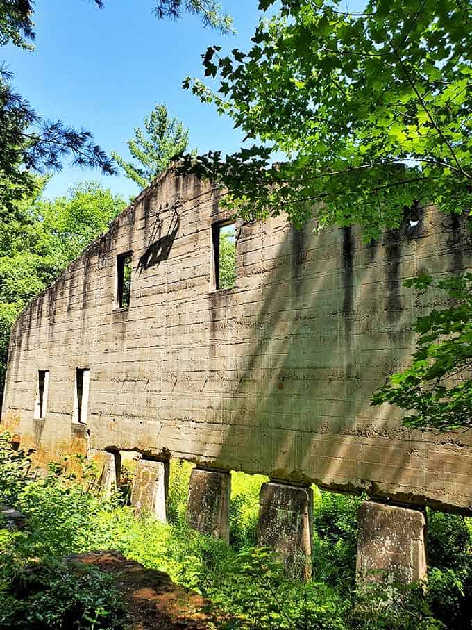 Empty windows in stone walls frame forest views, the quiet quarry ruins at Banning State Park telling stories of industrial ambition.