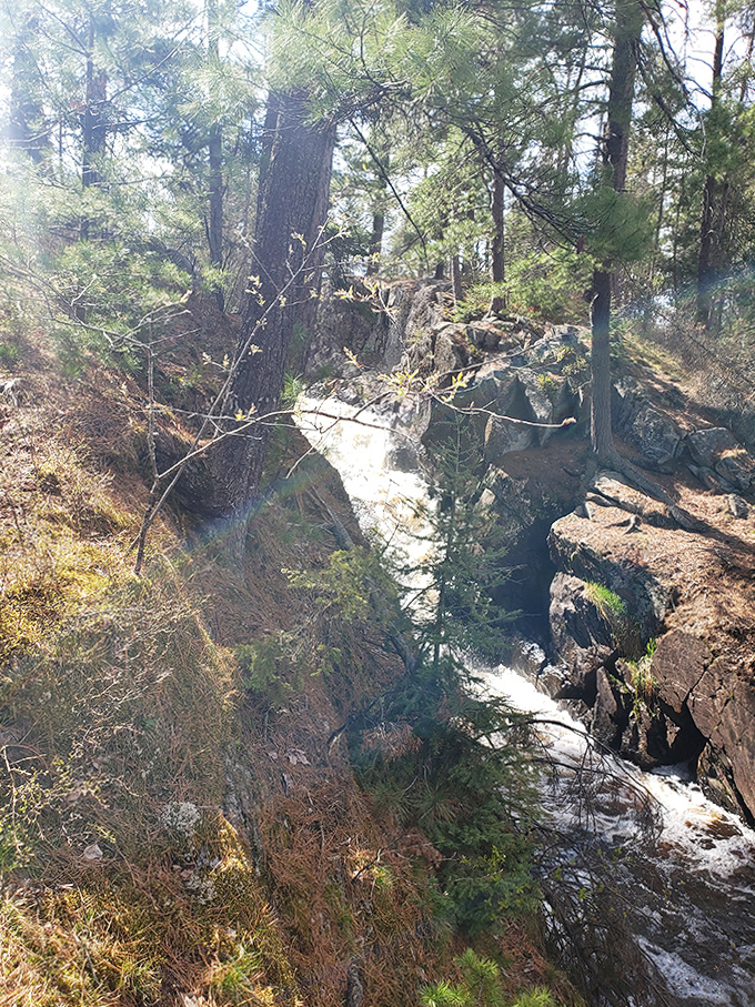 Spring runoff transforms the normally gentle Black River Falls into a churning display of nature's raw power cutting through the forest.