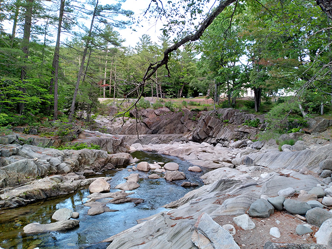 The Swift River meanders through Coos Canyon's golden bedrock, where centuries of rushing water have polished stone into natural waterslides.