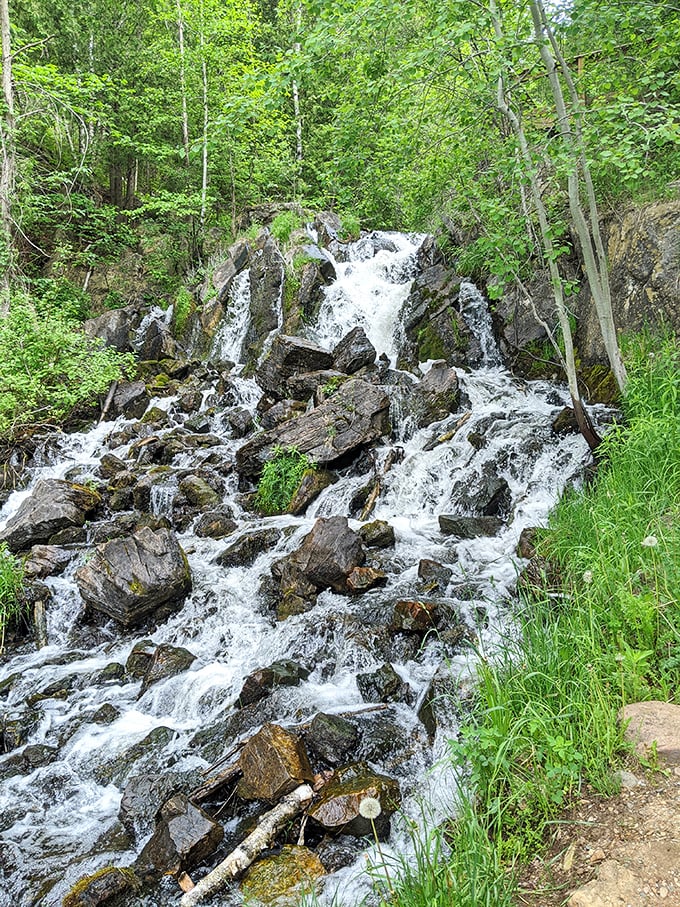 The multi-tiered drops of Fumee Falls create a stair-step effect through the forest, offering a quick but rewarding stop for waterfall enthusiasts.