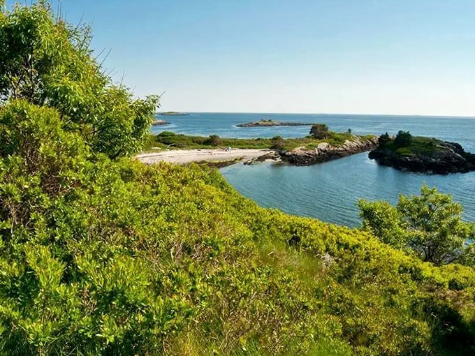 Crystal clear waters and pristine beaches make Hermit Island a hidden paradise for those seeking unspoiled natural beauty.